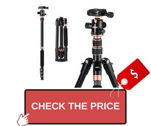 TOP 14 Best Vlogging Equipment Essentials for YouTube 2019 - VlogTribe