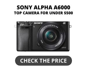 10 Best Vlogging Cameras Under $500 in 2020 [100% Tested!] - Vlogtribe